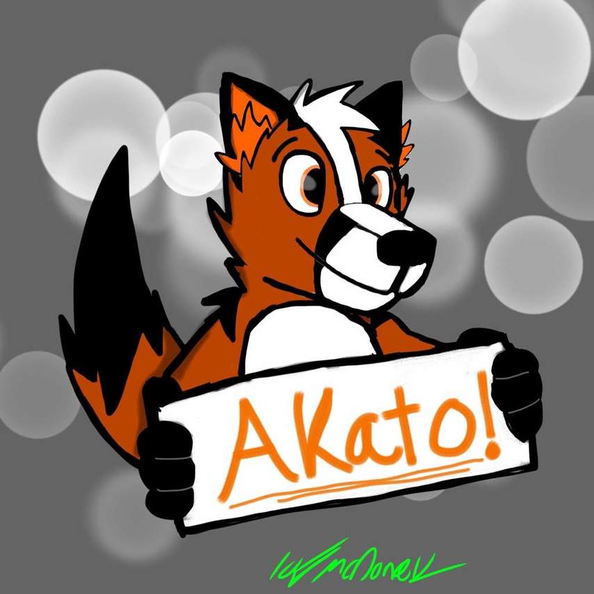 Image of Akato - Refsheet.net