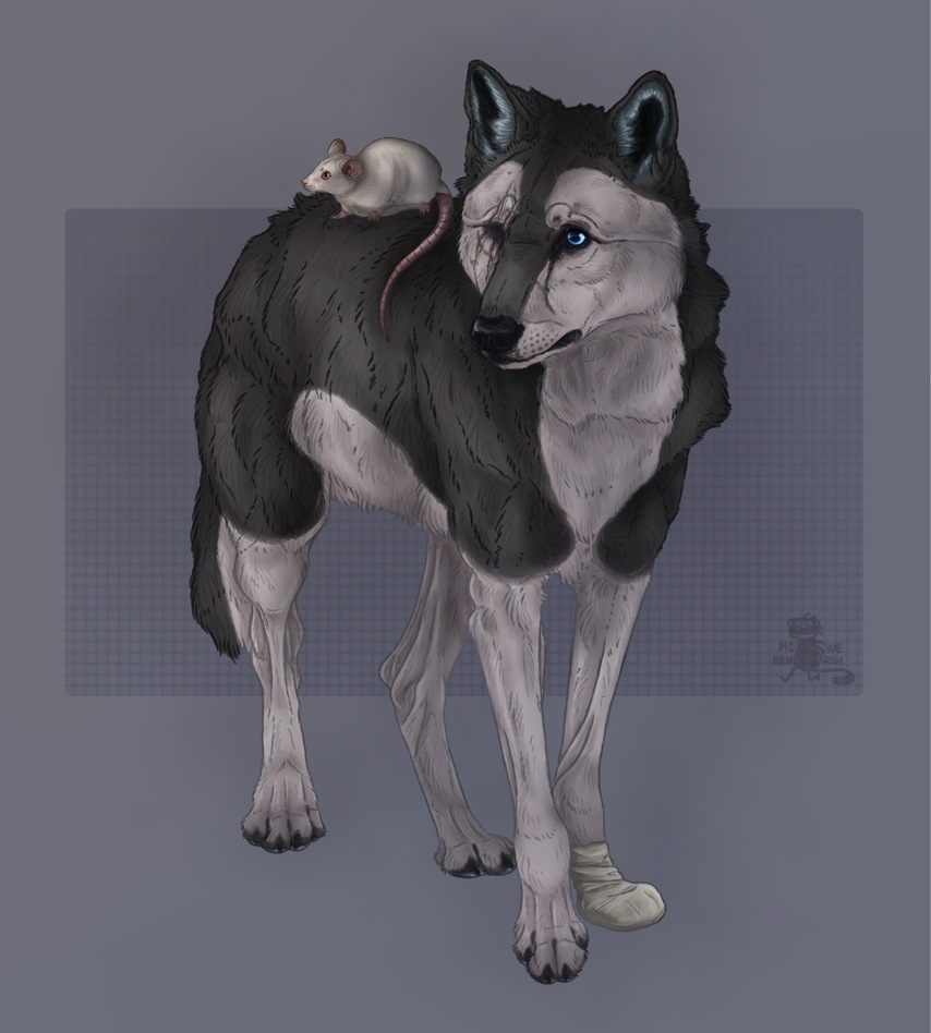 Image of Salt and Pepper - Refsheet.net