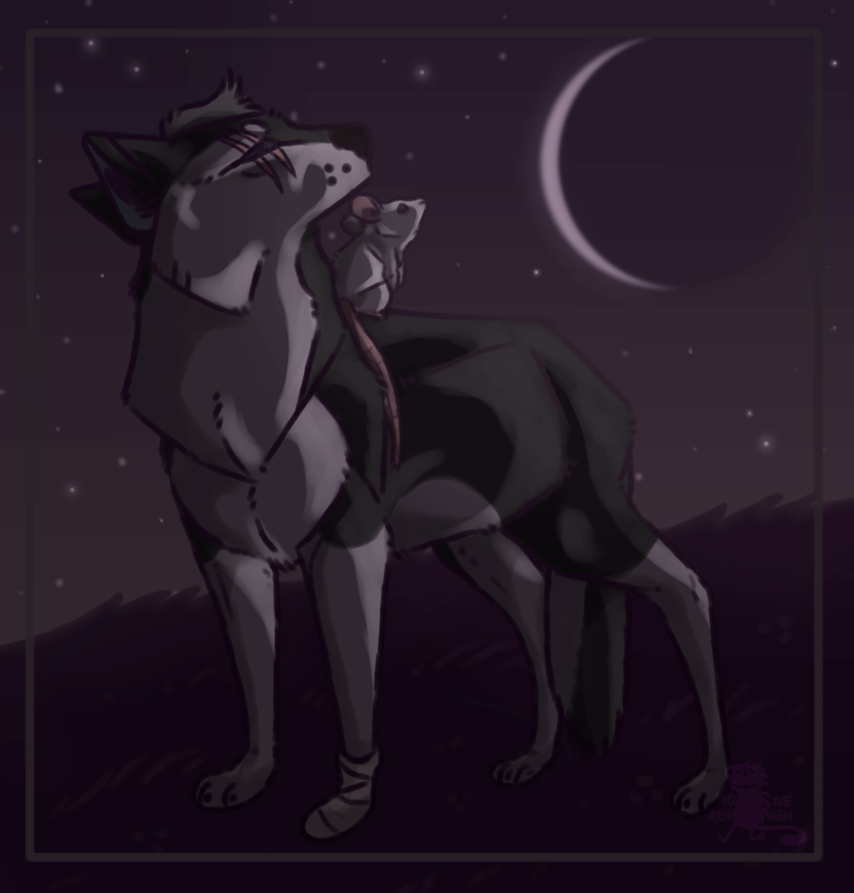 Image of Salt and Pepper - Refsheet.net