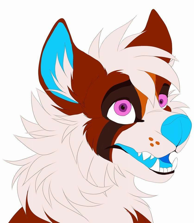 Image of Jett - Refsheet.net