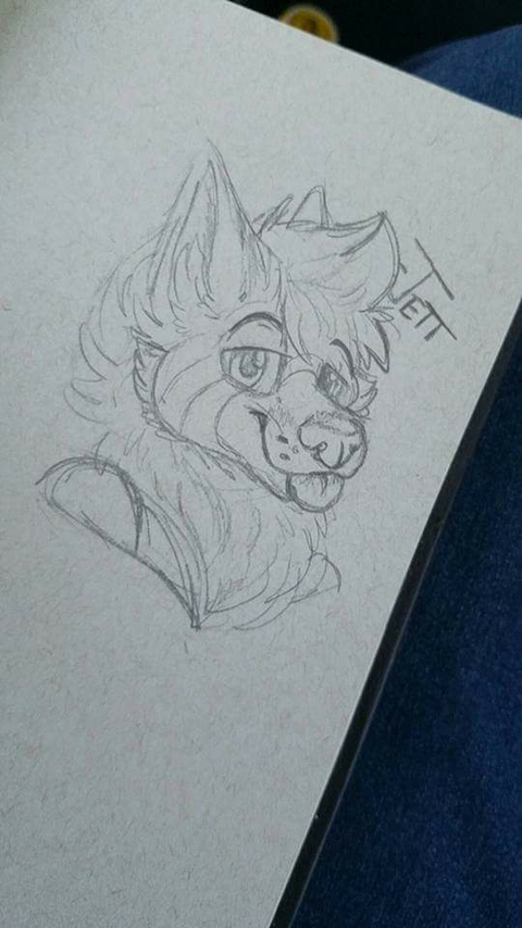 Image of Jett - Refsheet.net