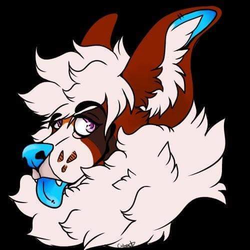 Image of Jett - Refsheet.net