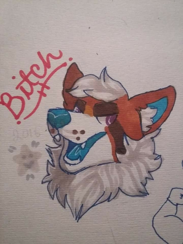 Image of Jett - Refsheet.net