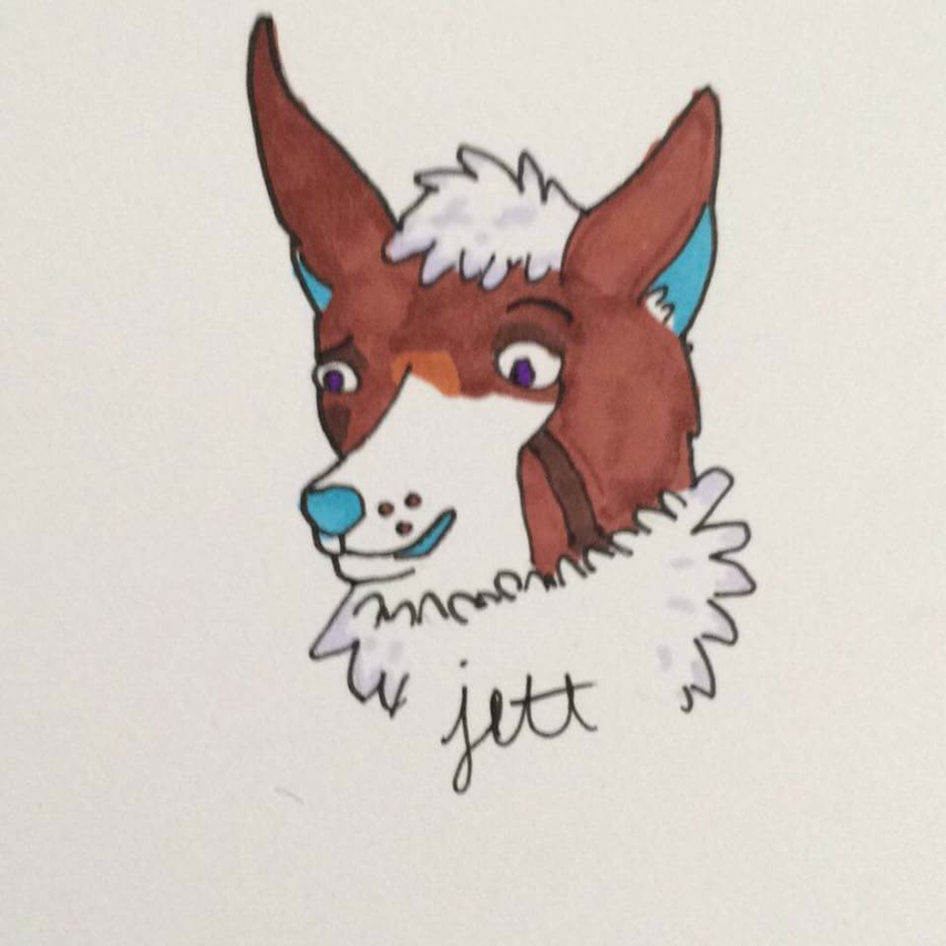 Image of Jett - Refsheet.net