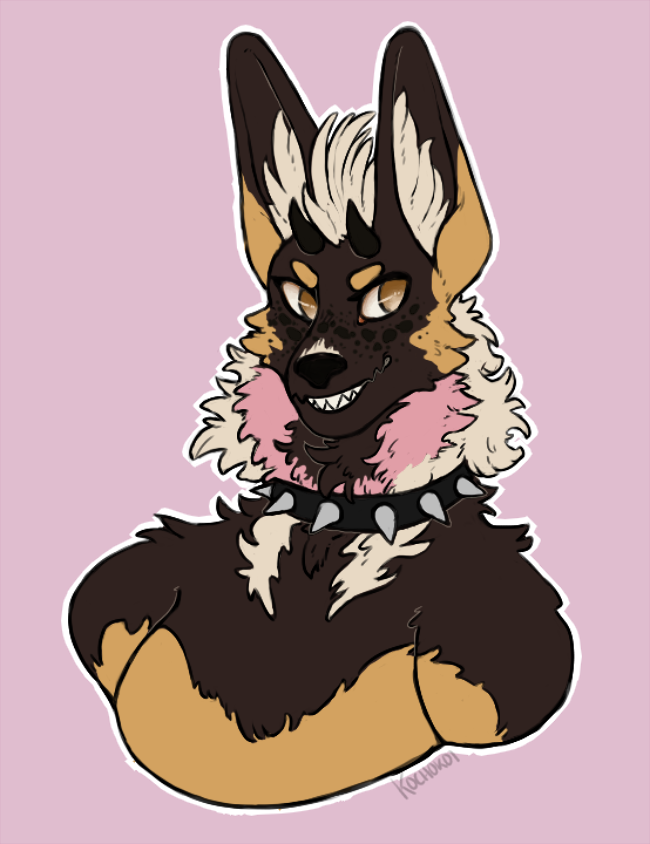 Image Of Pashmina Refsheet Net