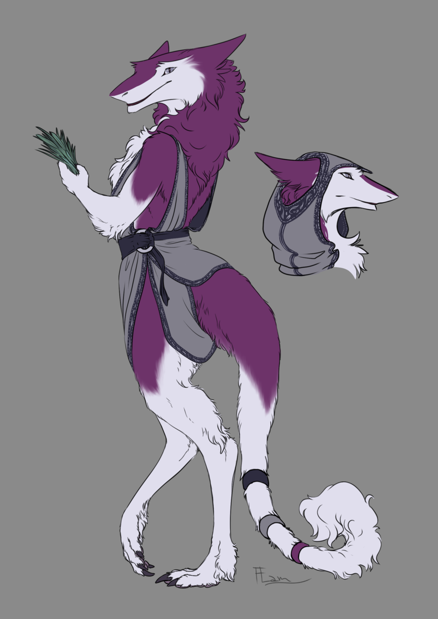 Image of Accacea - Refsheet.net