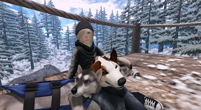 Alex Hayden (inactive) - Refsheet.net