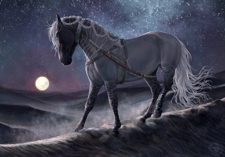 Image of seraphina - Refsheet.net