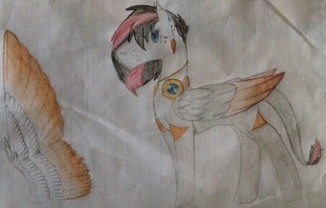 Image of Soaring Melody - Refsheet.net