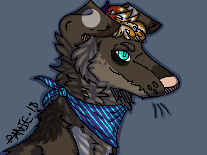 Image of Skyler 🌙 - Refsheet.net