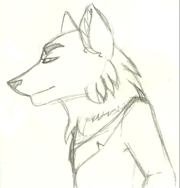 [OLD] he's a maned wolf but you can't tell. - Refsheet.net