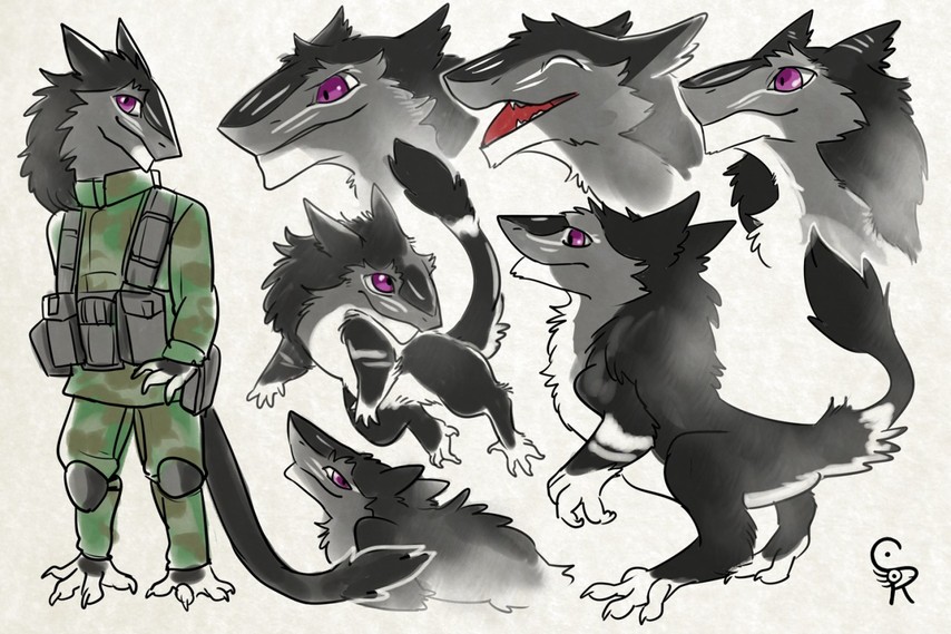 Image of Carcin Loring - Refsheet.net