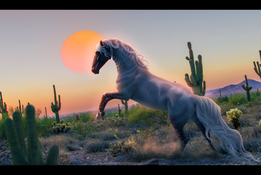 Image of seraphina - Refsheet.net