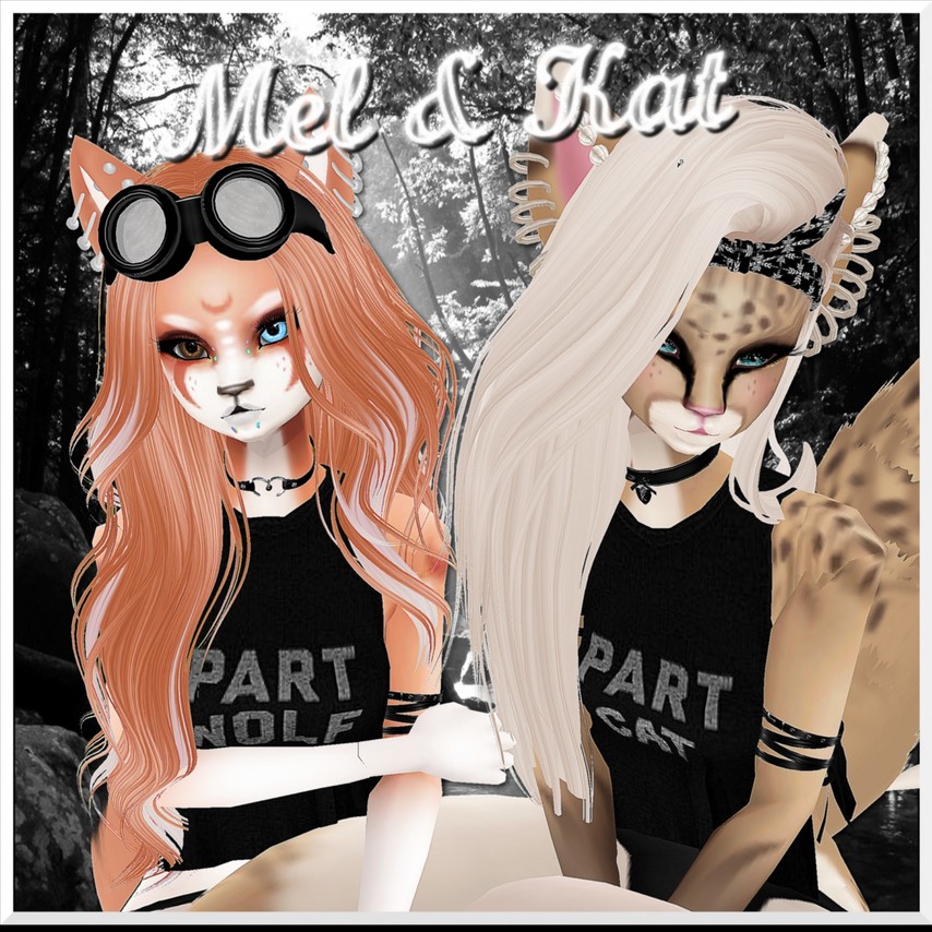 Image of WuskyPup - Refsheet.net