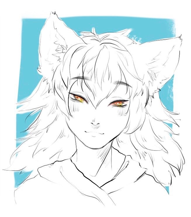 Image of Wolfy - Refsheet.net