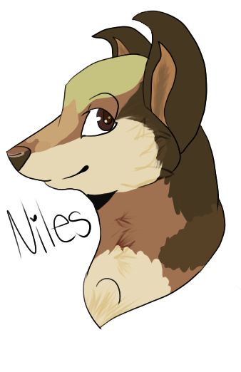 Image of Niall - Refsheet.net