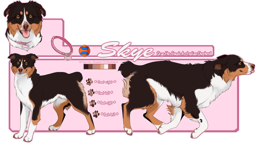 Image of Skye - Refsheet.net