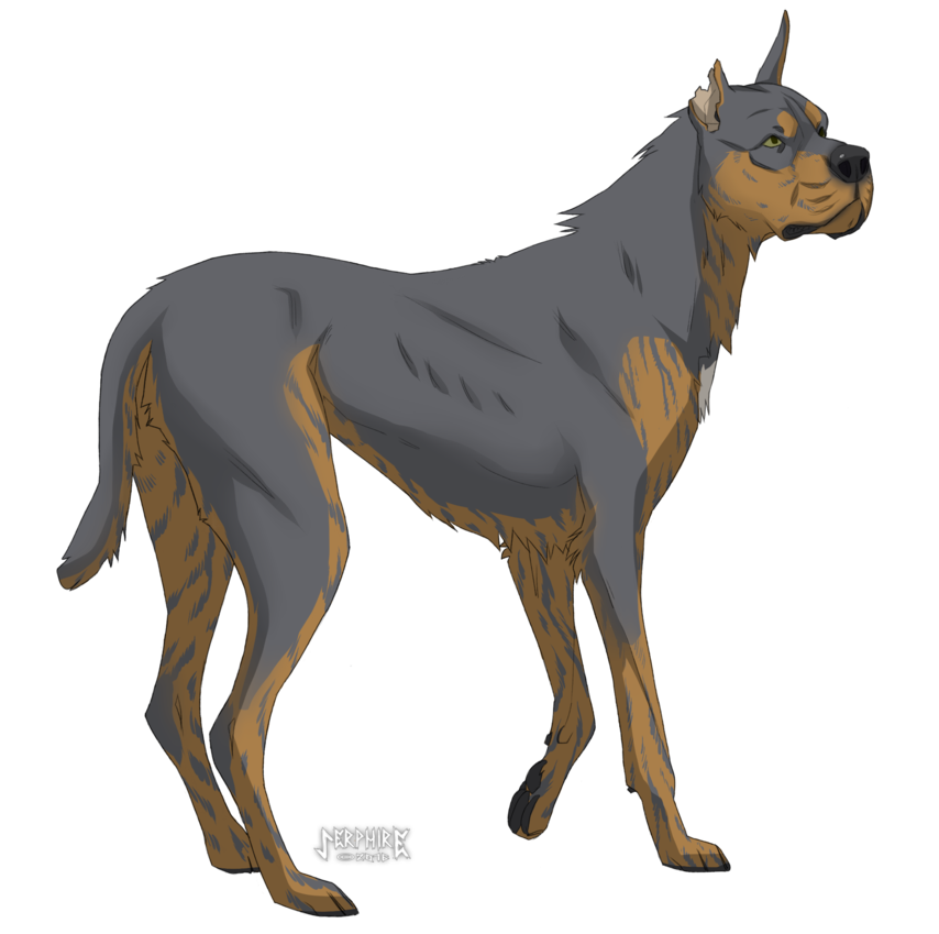 Image of Jack - Refsheet.net