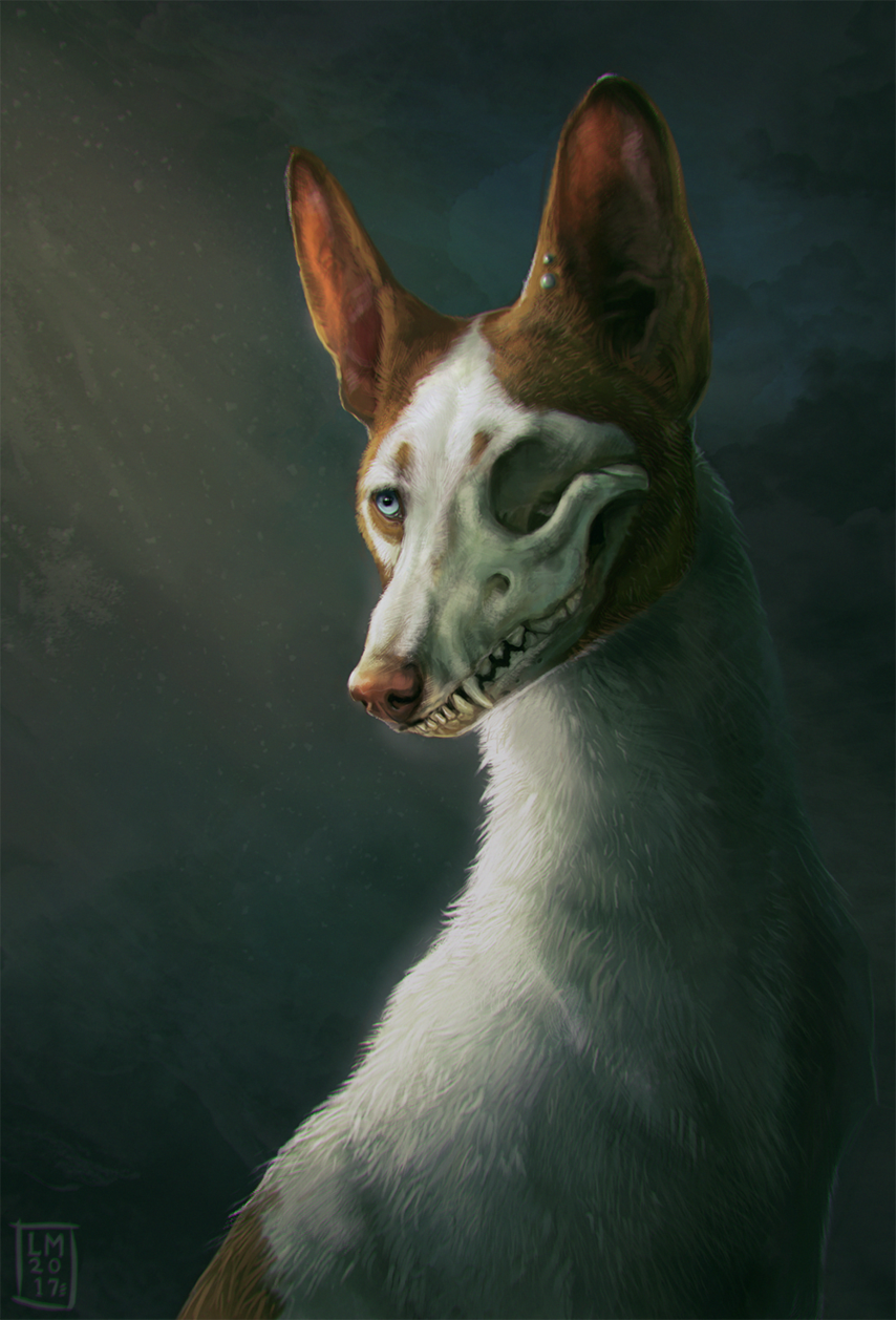 Image of Kirri - Refsheet.net