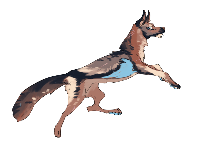 Image of Daniel - Refsheet.net