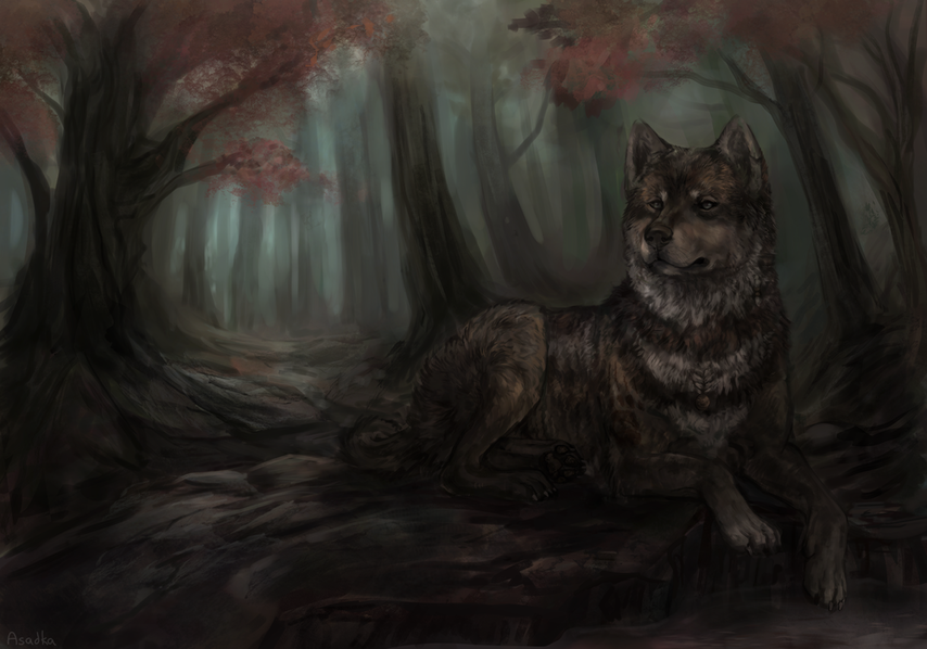 Image of Bear - Refsheet.net