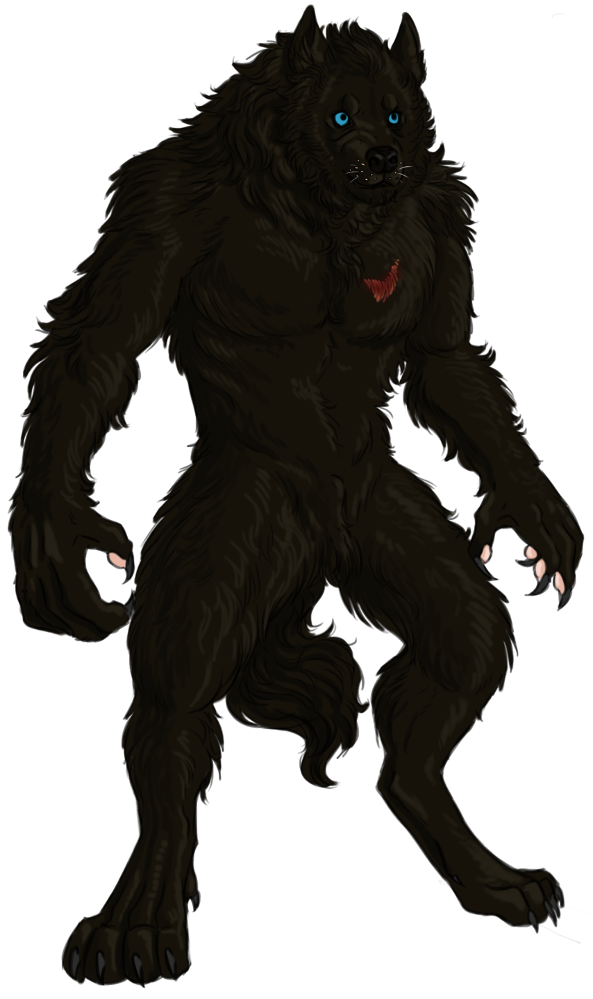 Image of Thomas Wolf - Refsheet.net