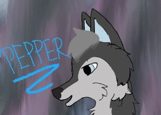 Image of Salt and Pepper - Refsheet.net