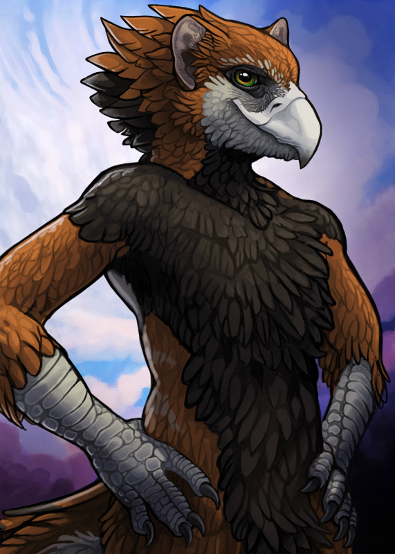 Image of Whyrl - Refsheet.net