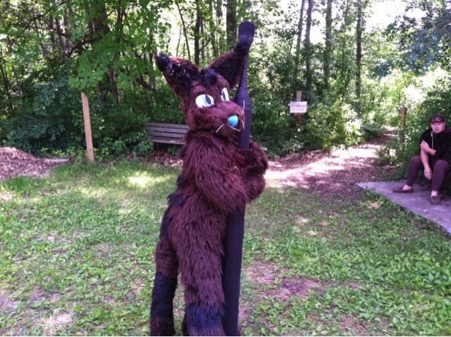 Image of Kira 死 - Refsheet.net