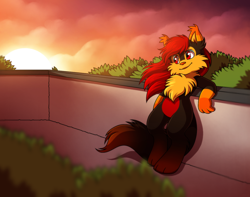 Image of Dawn - Refsheet.net