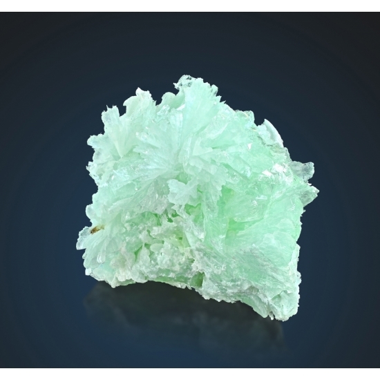 Image of Talc - Refsheet.net