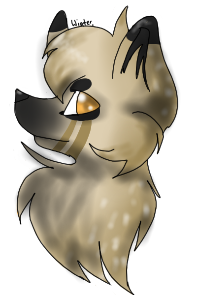 Image of Bear - Refsheet.net