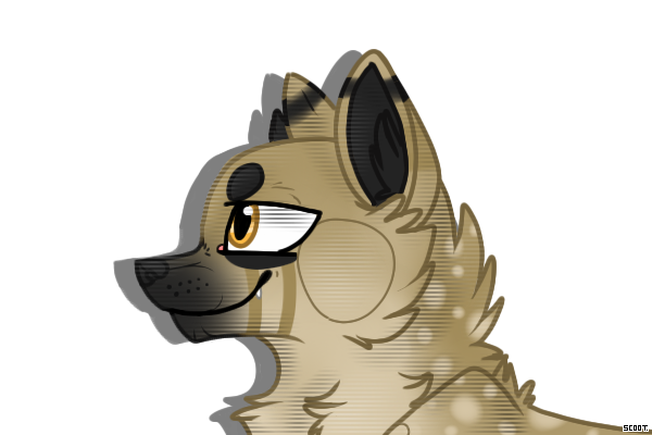 Image of Bear - Refsheet.net