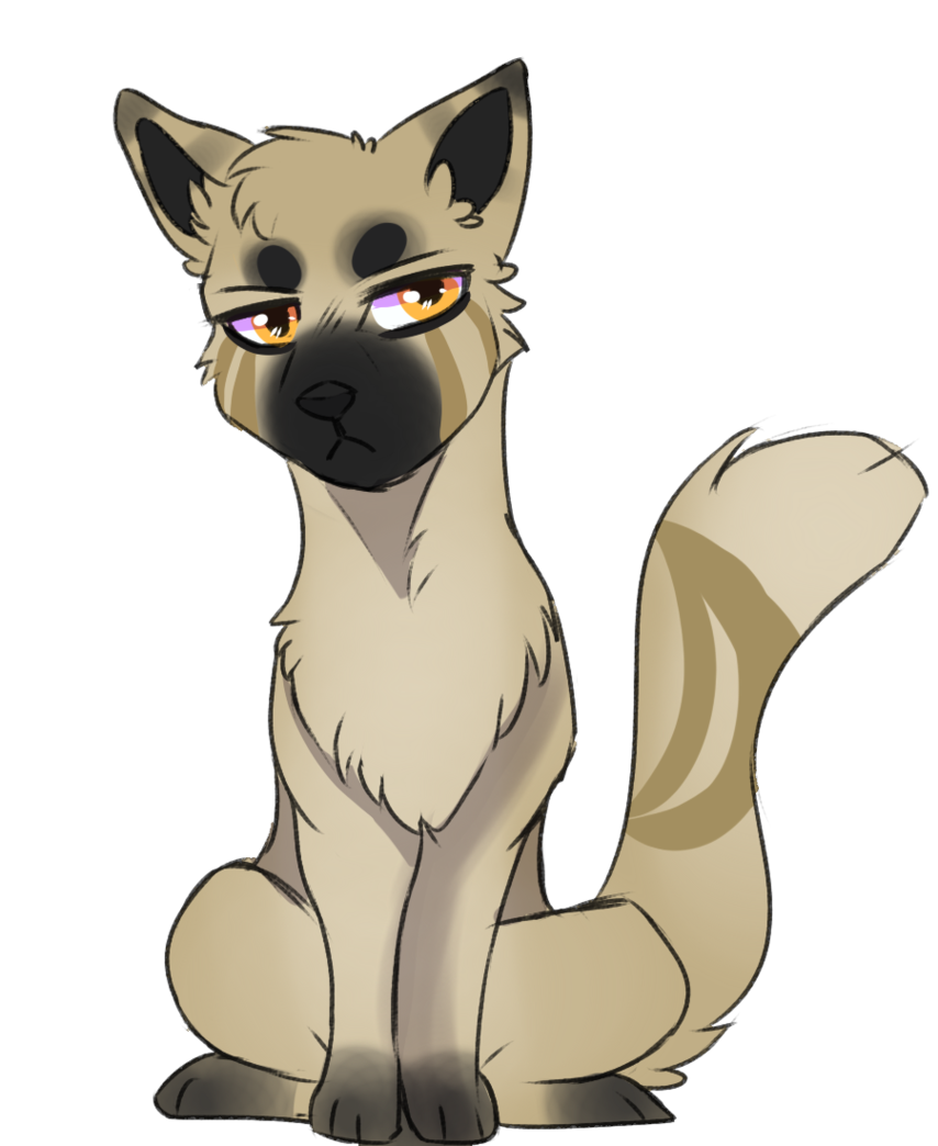 Image of Bear - Refsheet.net