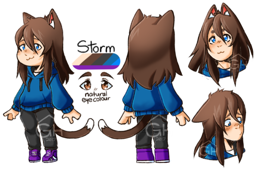 Image of Storm - Refsheet.net