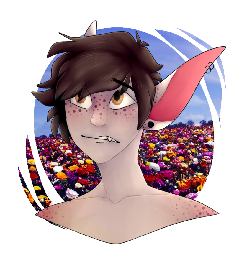 Image of Jack Torres - Refsheet.net