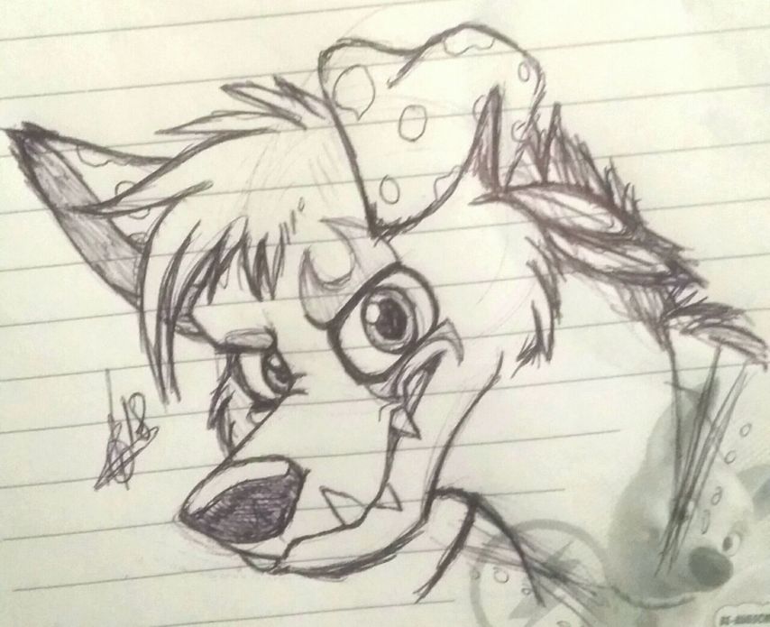 Image of Shoba - Refsheet.net