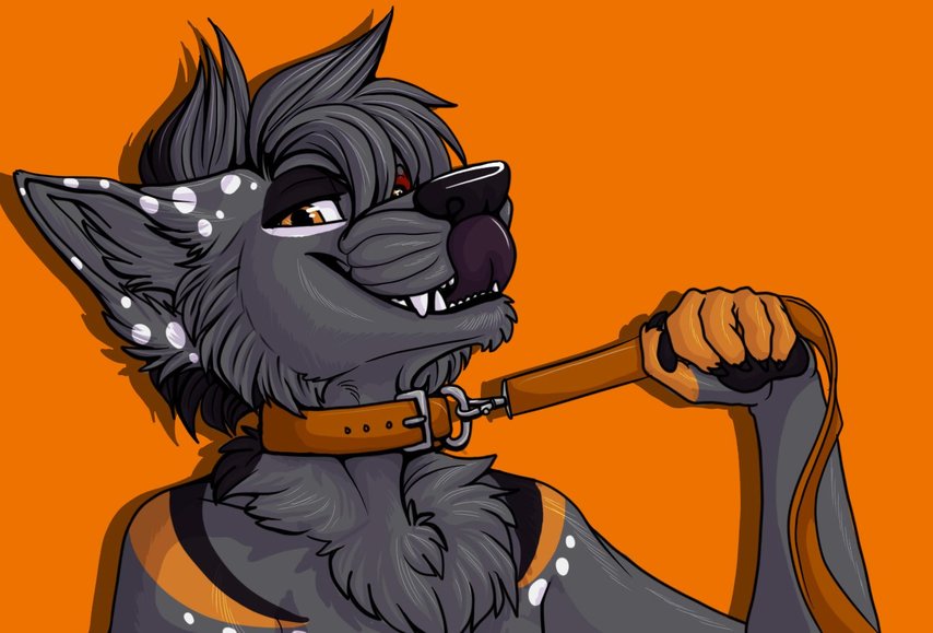 Image of Shoba - Refsheet.net