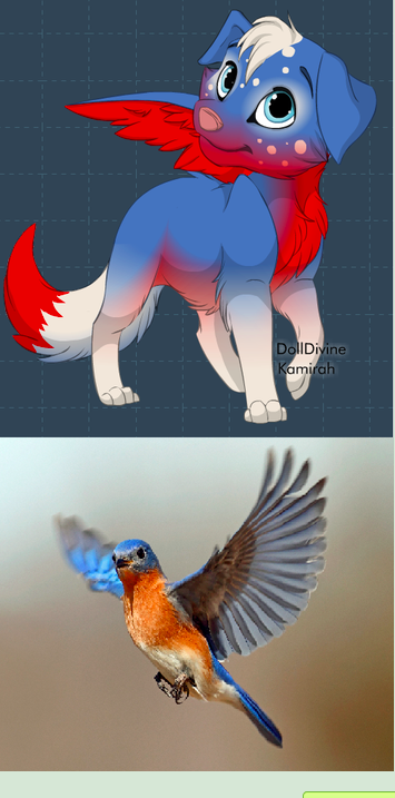Image of Animal OC's - Refsheet.net