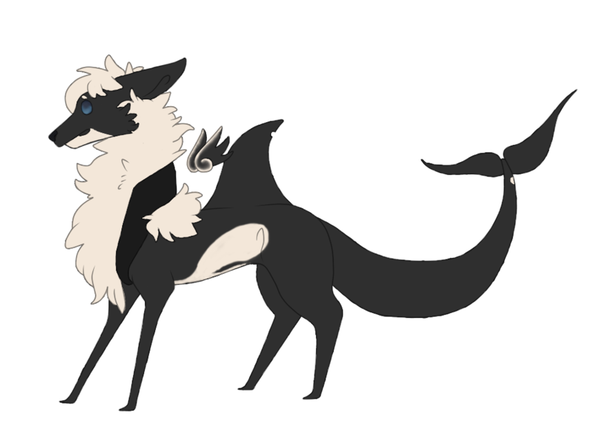 Image of Orca - Refsheet.net