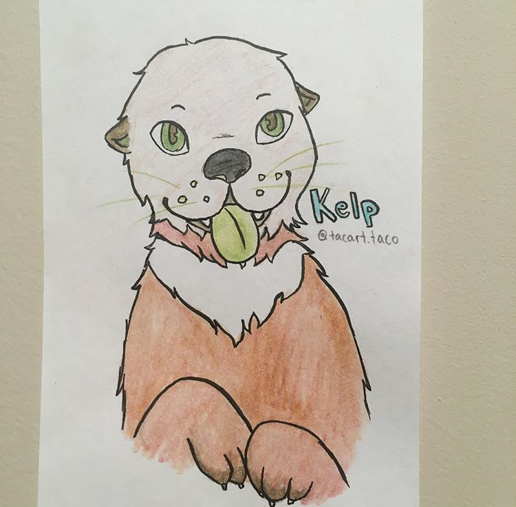 Image of Kelp - Refsheet.net