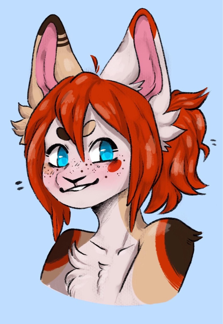 Image of Heidi - Refsheet.net