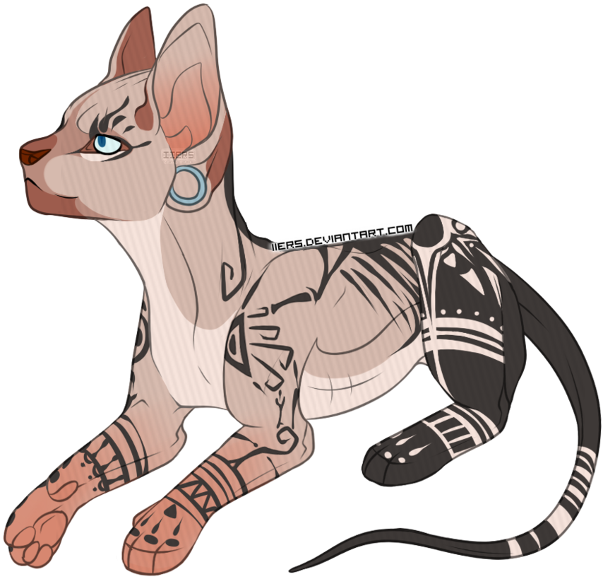 Image of Tsvetlin - Refsheet.net