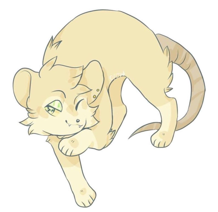 Image of Skoom - Refsheet.net