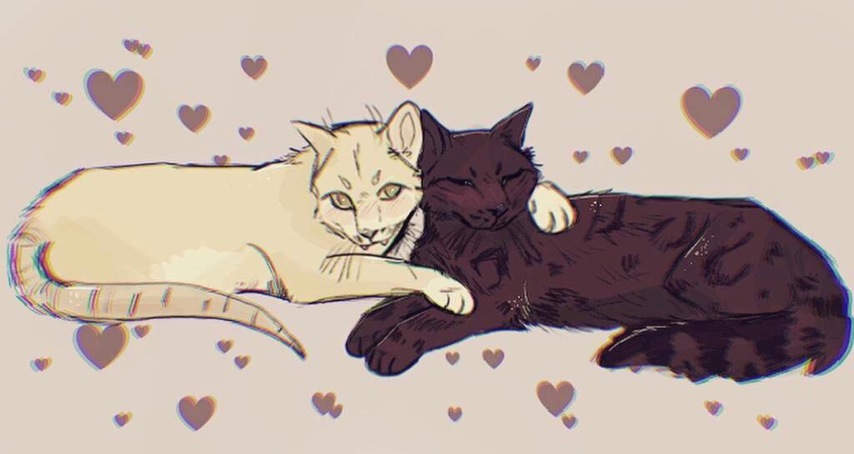 Image of Skoom - Refsheet.net