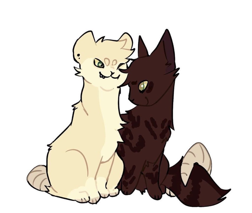 Image of Skoom - Refsheet.net