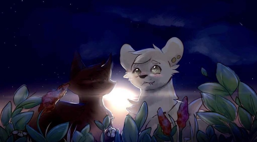 Image of Skoom - Refsheet.net