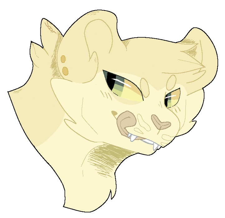 Image of Skoom - Refsheet.net