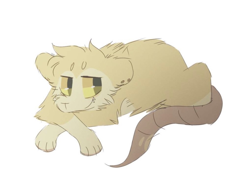 Image of Skoom - Refsheet.net