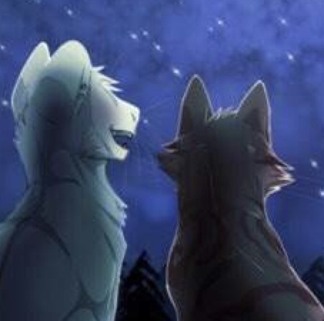 Image of Skoom - Refsheet.net